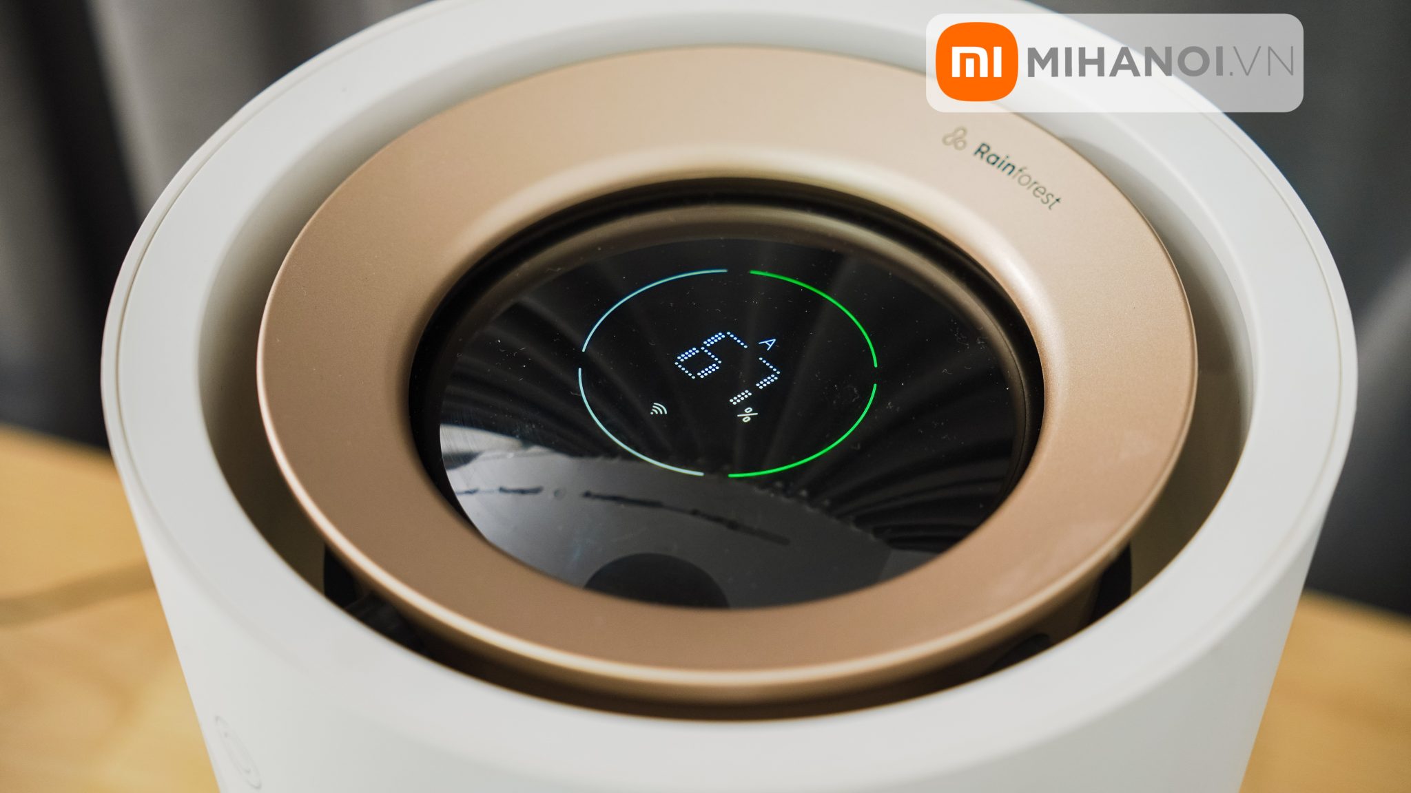 Hướng dẫn sử dụng máy tạo ẩm Smartmi Rainforest đúng cách