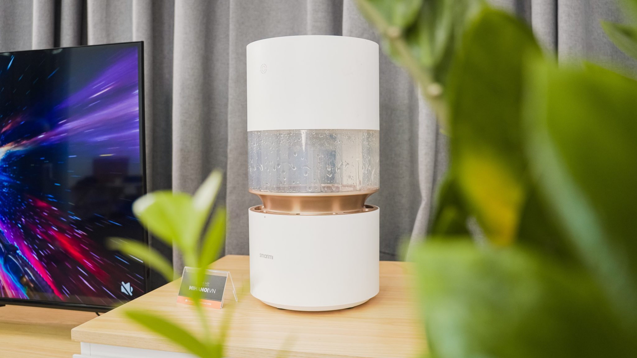 Hướng dẫn sử dụng máy tạo ẩm Smartmi Rainforest đúng cách