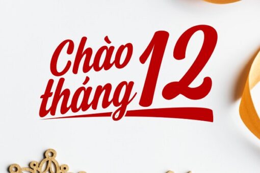 99+ STT tháng 12, caption hay chào tháng 12 cuối cùng của năm